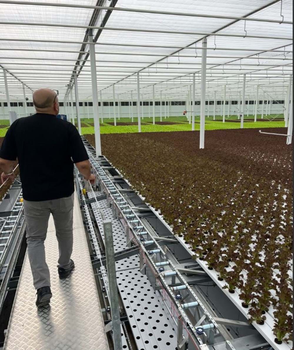The making of Armela Farms’ dream warmzone greenhouse near Abu Dhabi